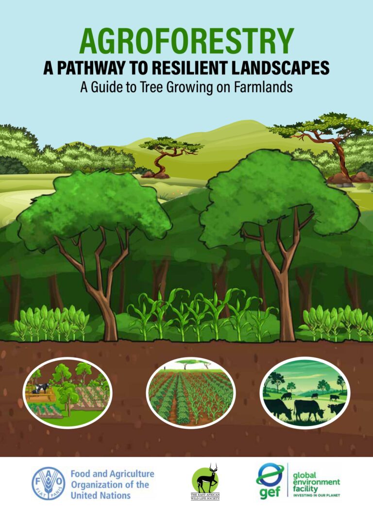 Reports & Policy Briefs - EAWLS